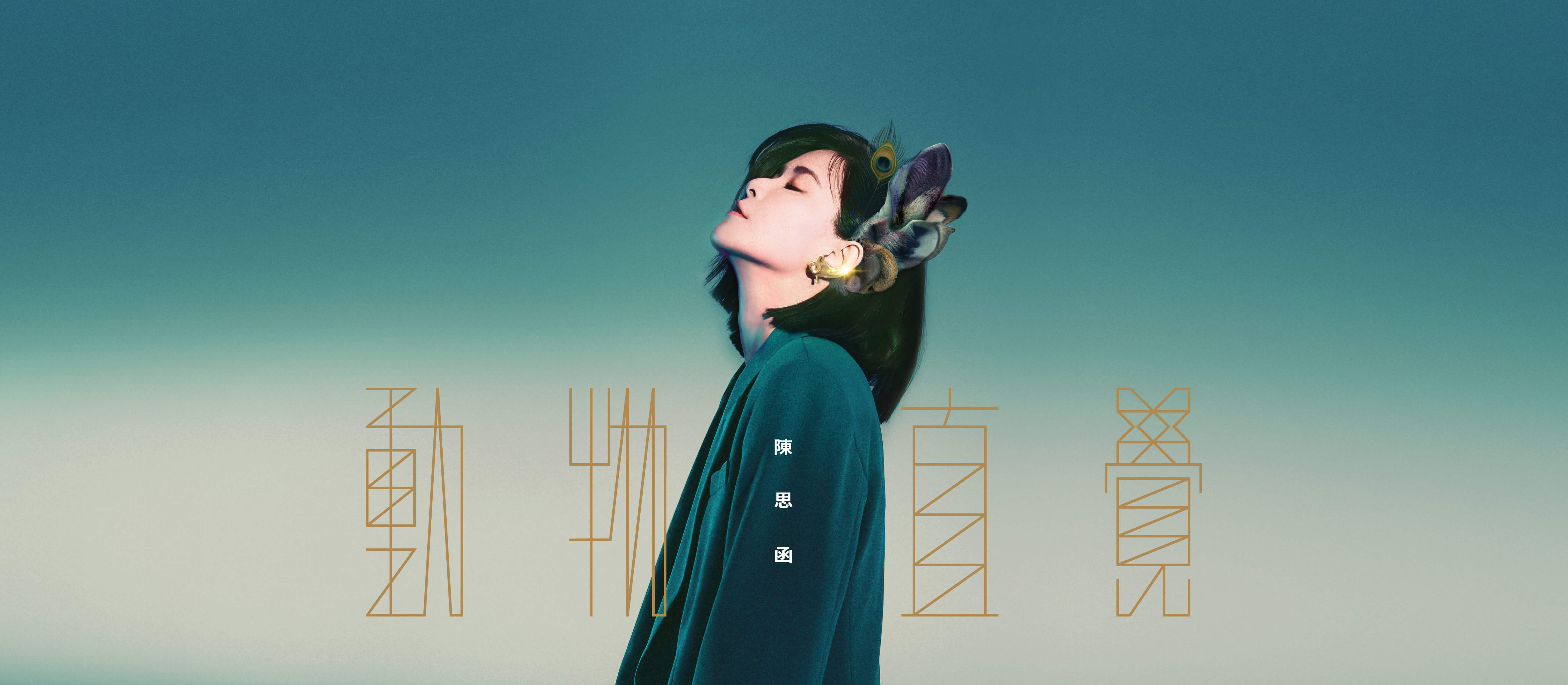 動物直覺 Animal Instinct | Grandvity Design